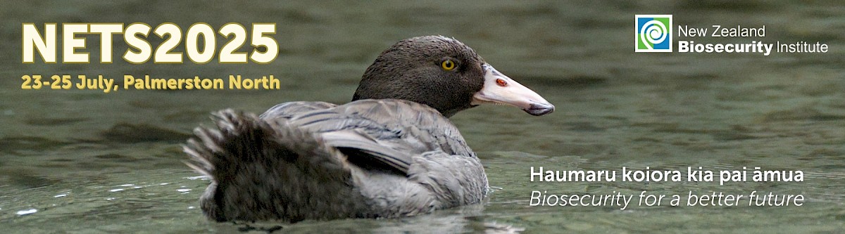 NETS2025 • NETS Conference 2025